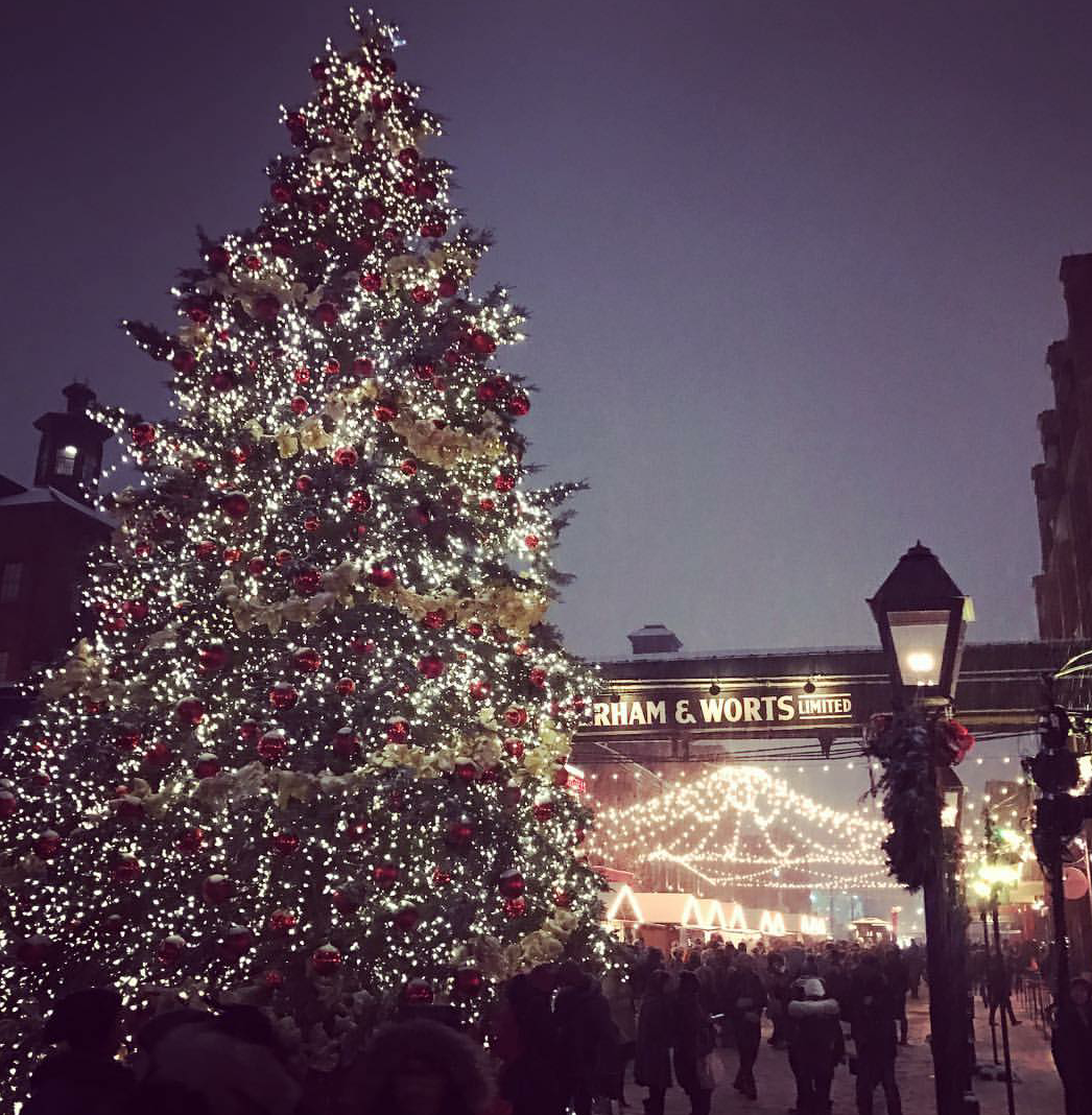 Things to Do in Toronto At Christmas - Delsuites' Blog
